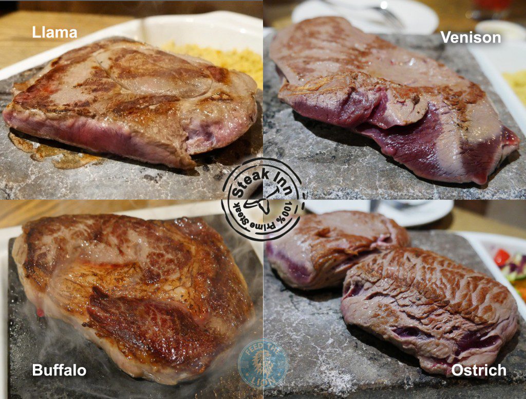 Steak Inn - Watford, London - Feed the Lion