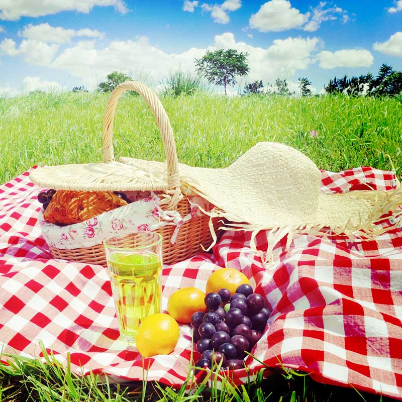 Top Tips for National Picnic Week 2017 - Feed the Lion