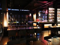 Tarshish (Turkish Mediterranean) - Wood Green, London - Feed the Lion