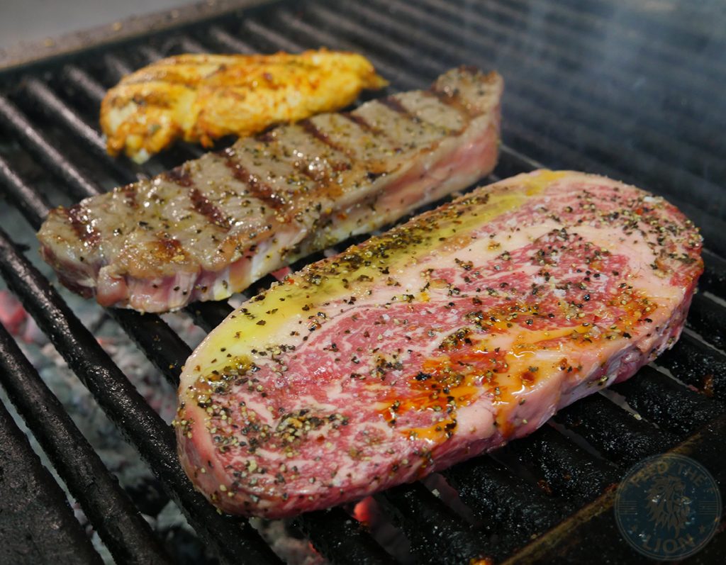 Tarshish (Turkish Mediterranean) - Wood Green, London - Feed the Lion