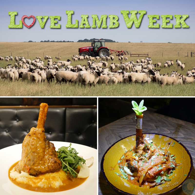 Our Favourite Lamb Dishes for #LoveLambWeek 2017 - Feed the Lion