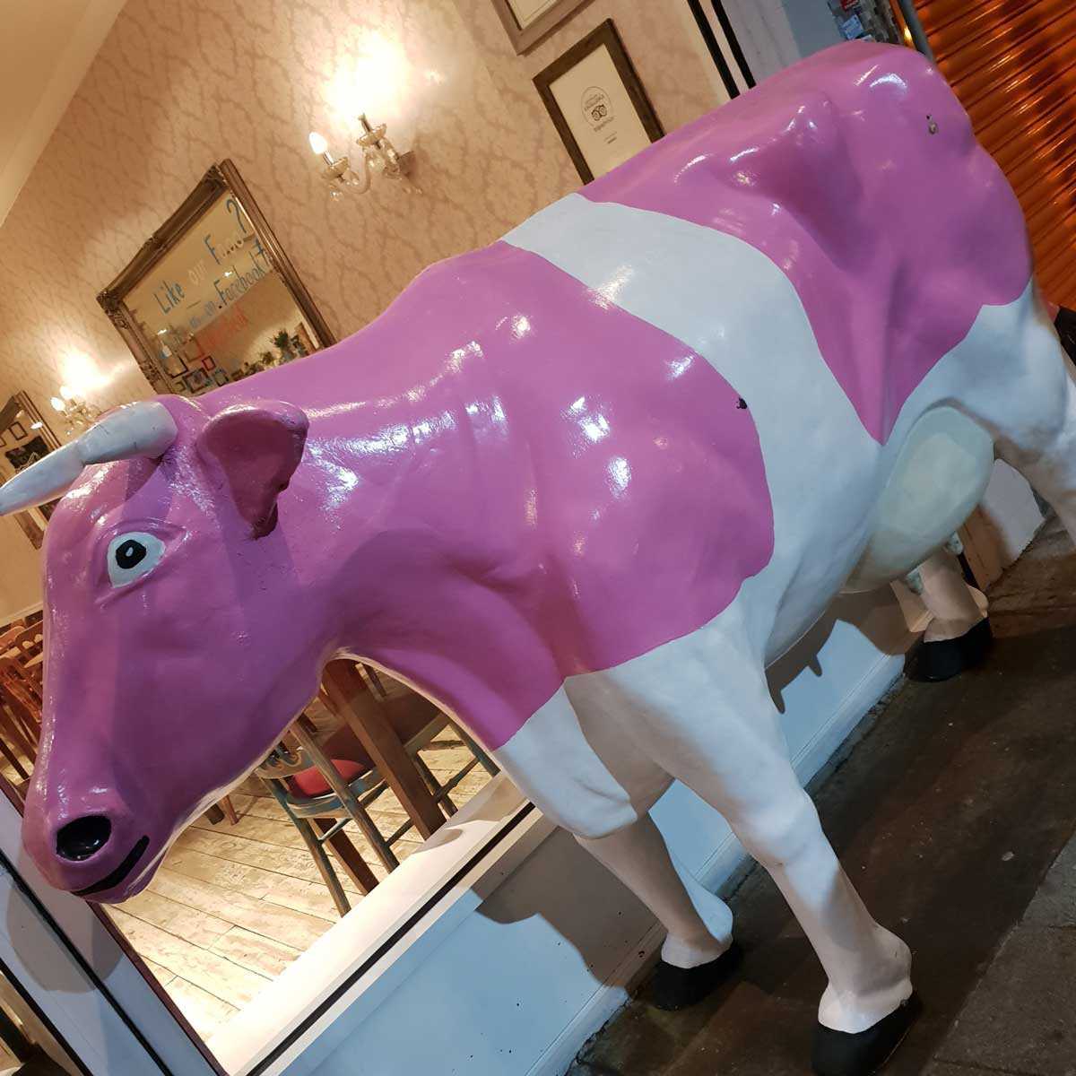 Pink-Cow - Feed the Lion