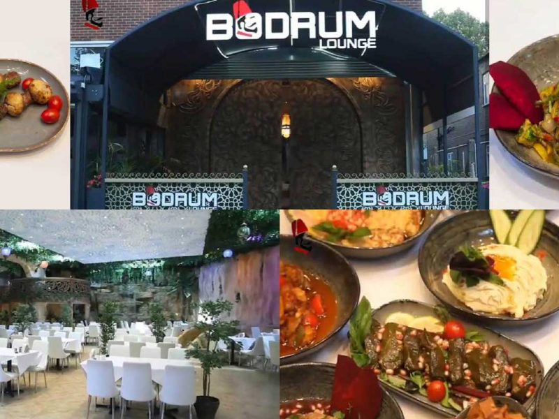 Turkish Bodrum Lounge soft launch tonight in Park Royal - Feed the Lion
