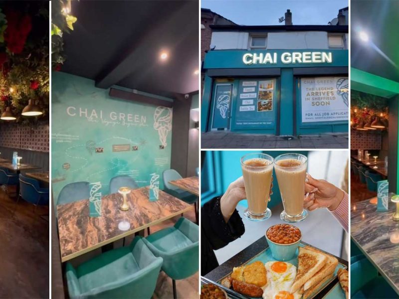 50% off Chai Green launch this Friday in Sheffield - Feed the Lion