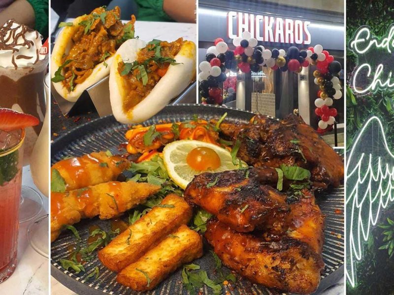 Mr & Mrs Hajat's Reviews visit Chickaros Leicester launch - Feed the Lion