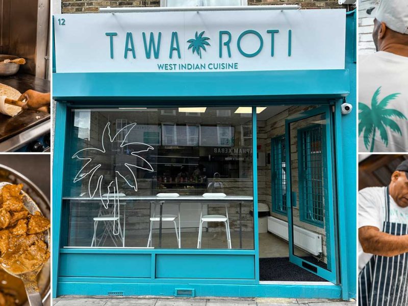 Khatoon (Persian) - Harrow - Feed the Lion